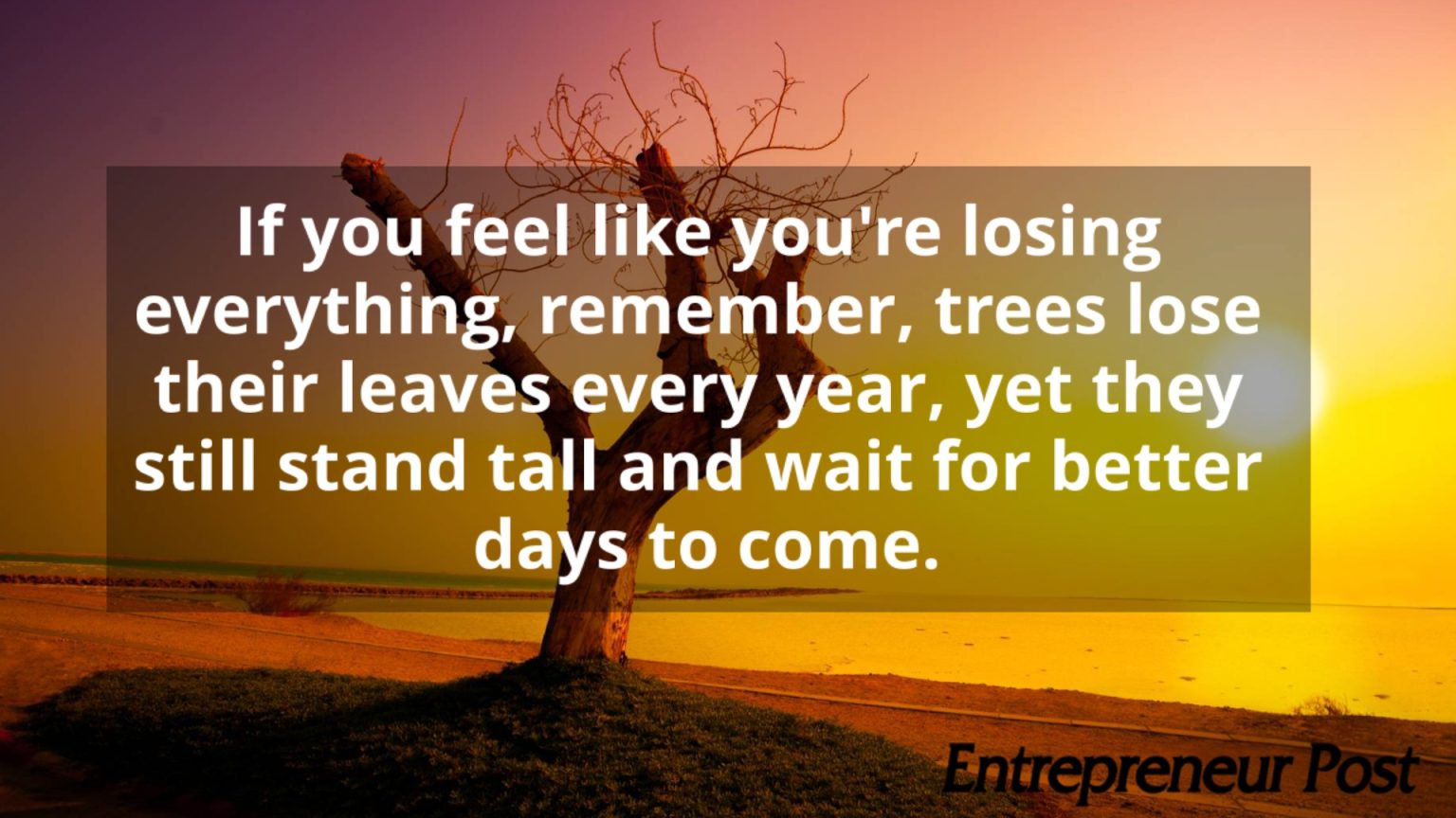 Trees lose their leaves every year, yet they still stand tall and wait ...